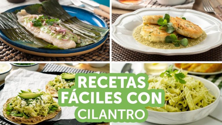 11 recetas al cilantro para hacer en casa - 2025