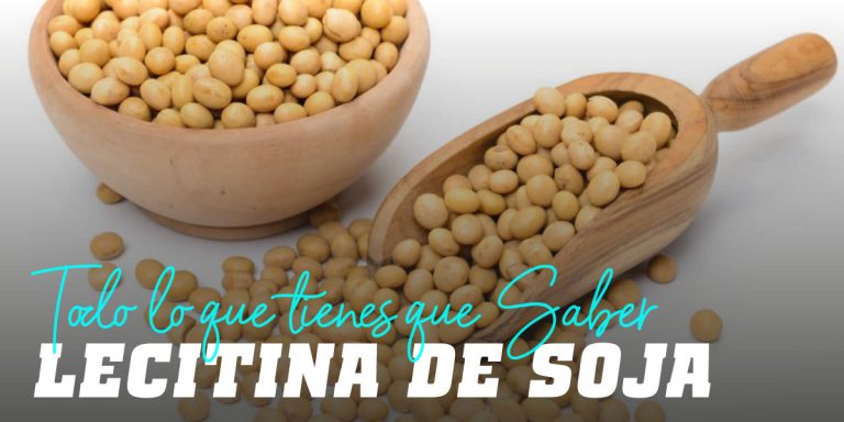 Conoce las diferencias entre la soya y la lecitina de soya - 2026