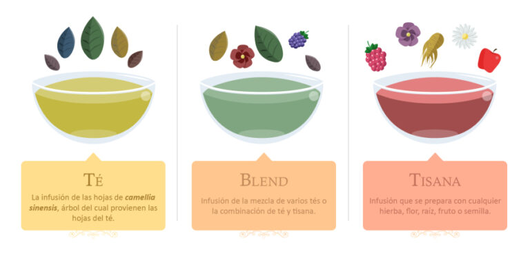 ¿Cuál es la diferencia entre té, tisana e infusión? - 2026