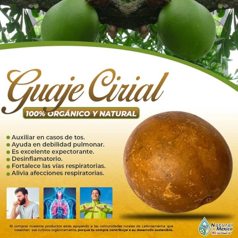 Qué es el guaje cirial y para qué sirve - 2024